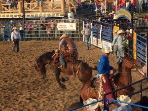 Park Rapids PRCA ProRodeo and Xtreme Bulls – July 2, 3, 4 2021