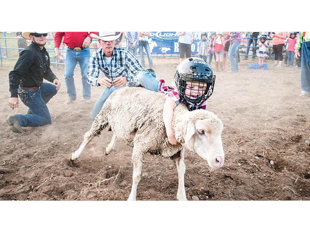 Park Rapids PRCA ProRodeo and Xtreme Bulls – July 1, 2, 3 2022
